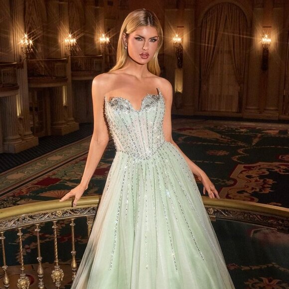 CD | Dresses | New Strapless Maxi Tulle Gown W Dazzling Beaded Bustline ...